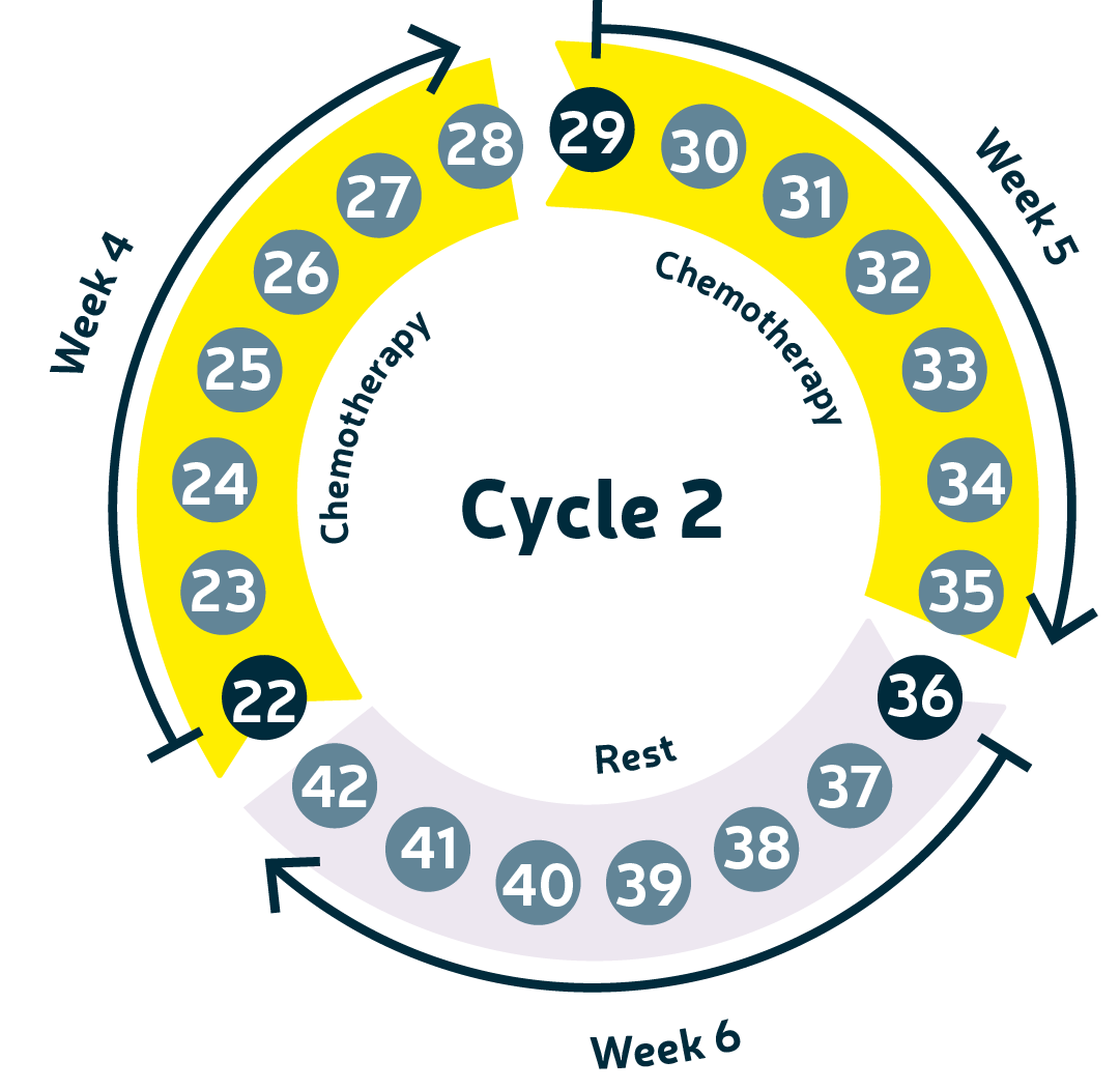 Chemotherapy | Treatment | About bowel cancer | Bowel Cancer UK
